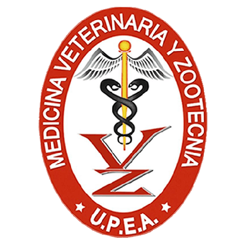 UPEA | Universidad Pública de El Alto